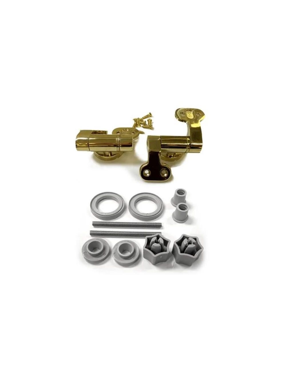 Toilet Seat Hinge Fixing Kit Gold Tsh8600g